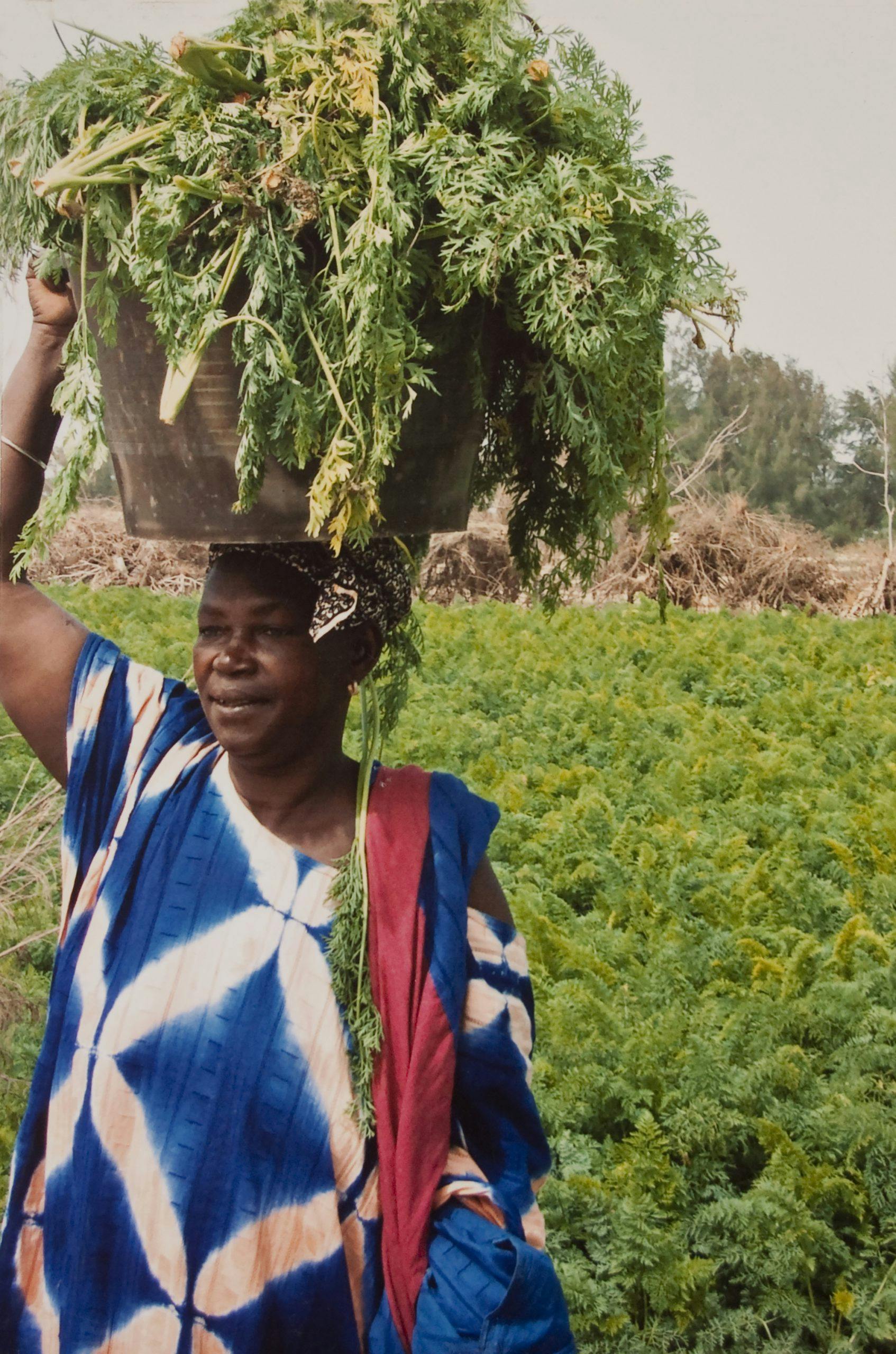 Vrouwen in Mauritanië worden zelfstandiger met moestuin | Wilde Ganzen