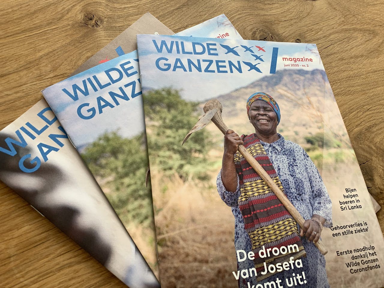 Het Wilde Ganzen magazine aanvragen | Wilde Ganzen
