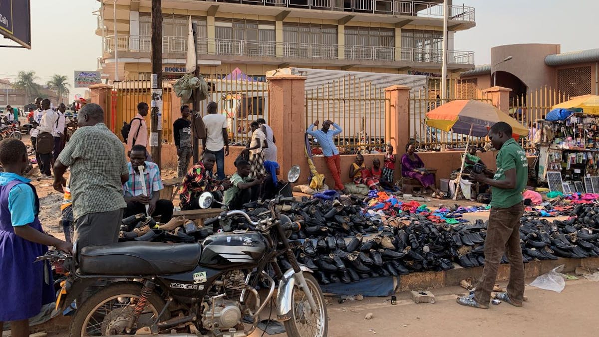 Het succes van de Otuke Harvest Foundation | Wilde Ganzen