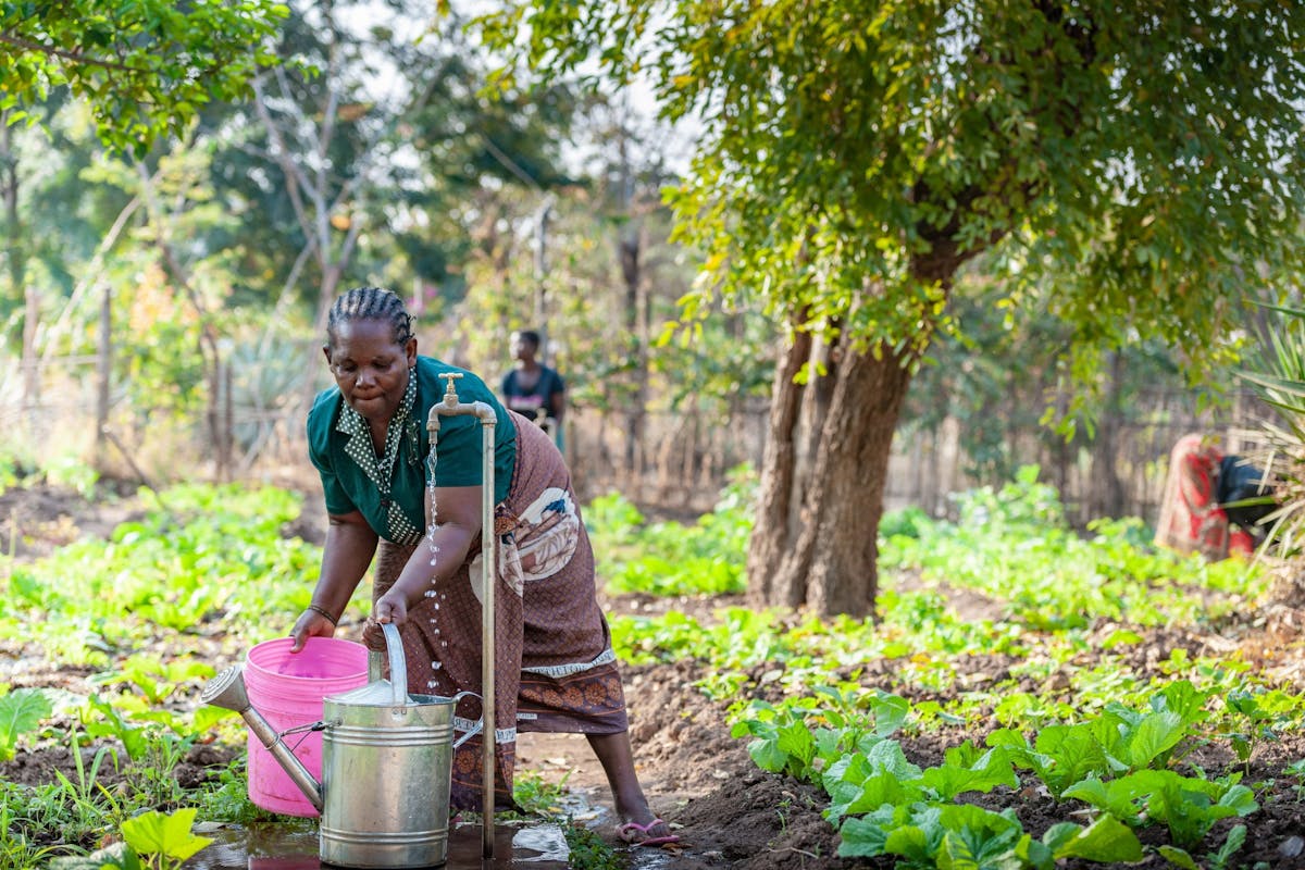 Van Theory of Change naar Change the Game Academy | Wilde Ganzen
