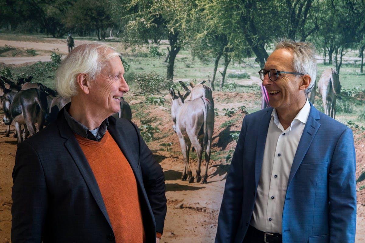 Interview: Kees de Jong en Robert Wiggers | Wilde Ganzen