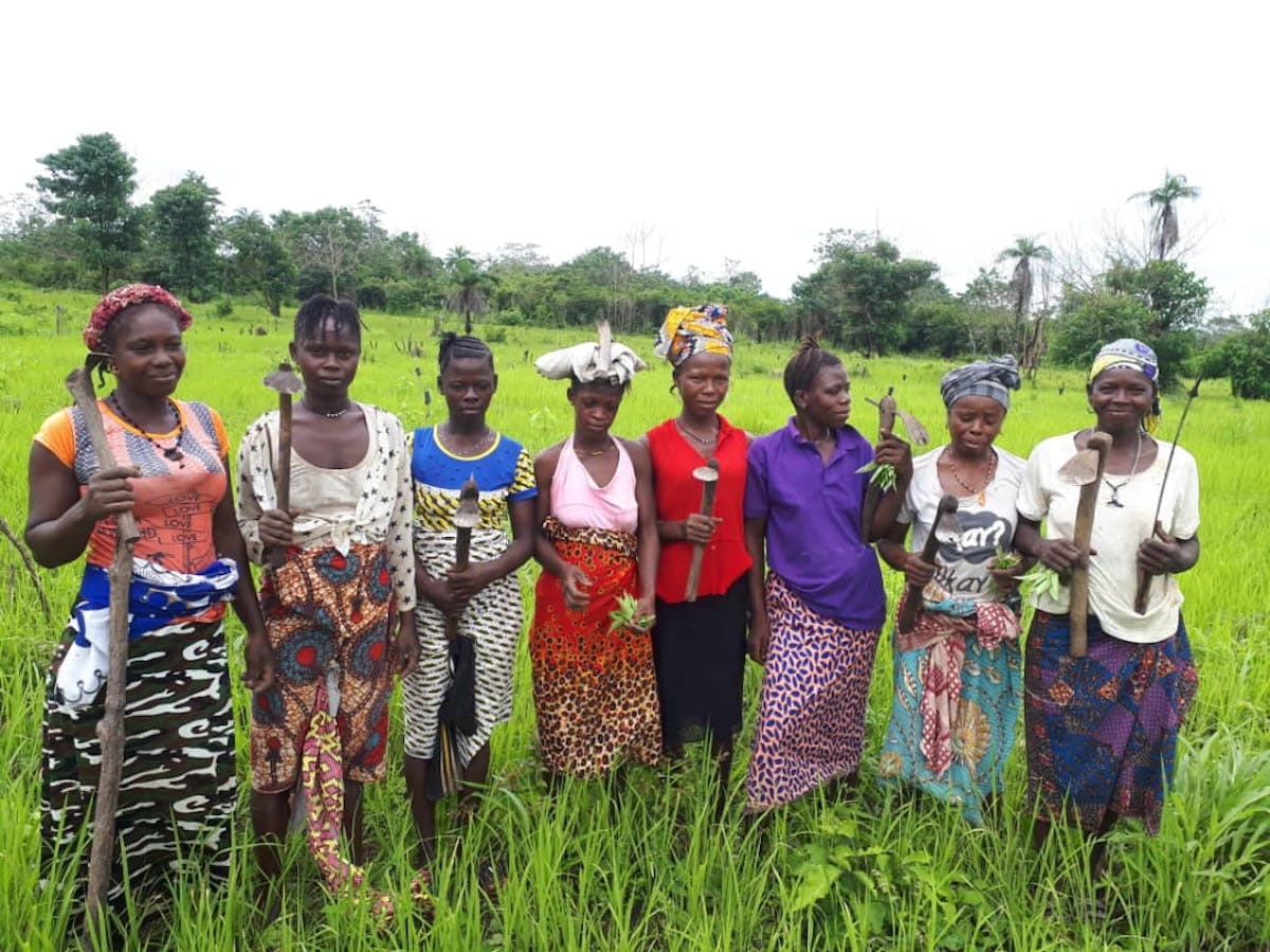 Jaaroverzicht: Jaaroverzicht: Wilde Ganzen in 2022 | Wilde Ganzen