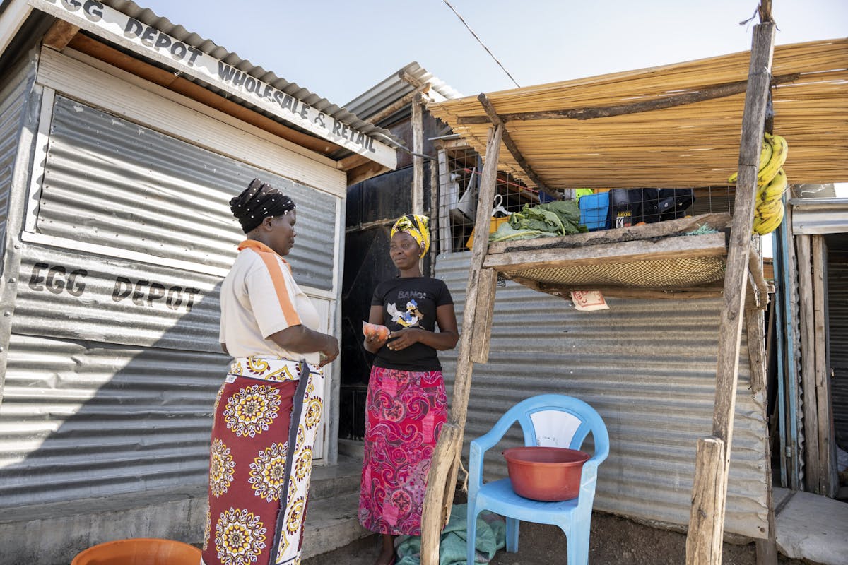 Bezuinigingen op ontwikkelingssamenwerking | Wilde Ganzen