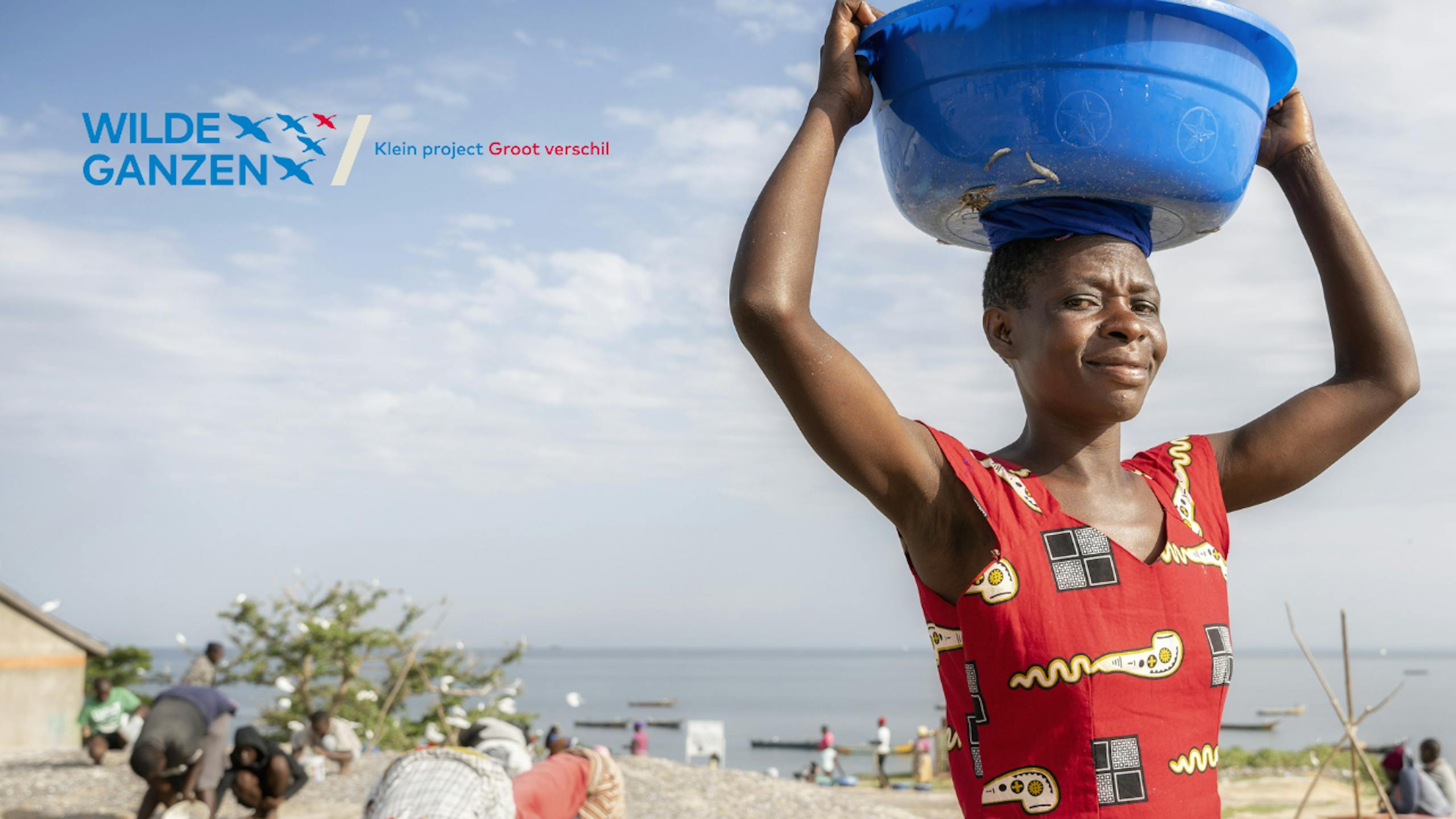 Bedankt voor uw steun in 2023 | Wilde Ganzen